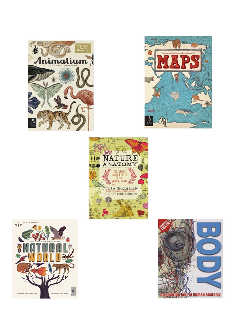 Our favourite Montessori friendly books to give – Our Montessori Life