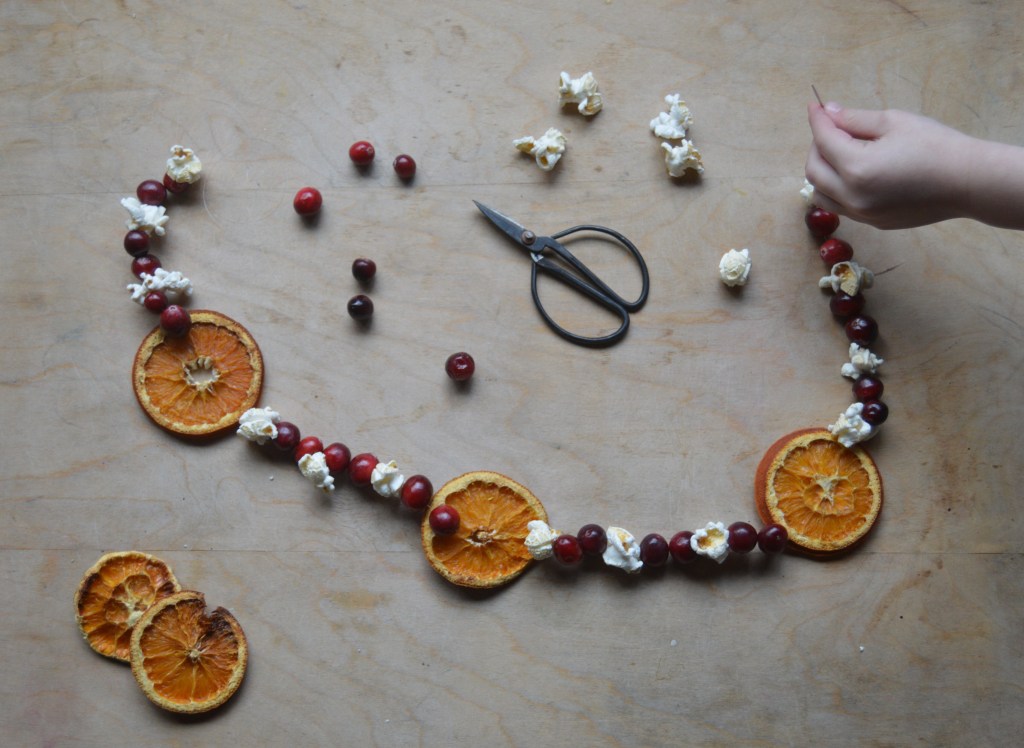 December Nature Study: Winter Solstice – Our Montessori Life