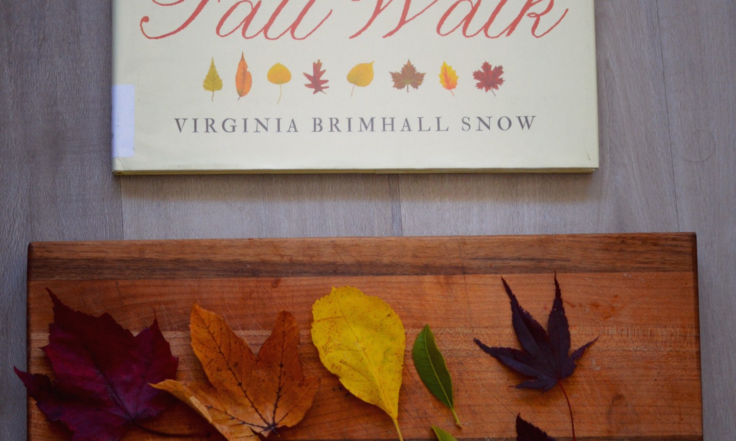 An Autumn book and activities for Thanksgiving Monday – Our Montessori Life
