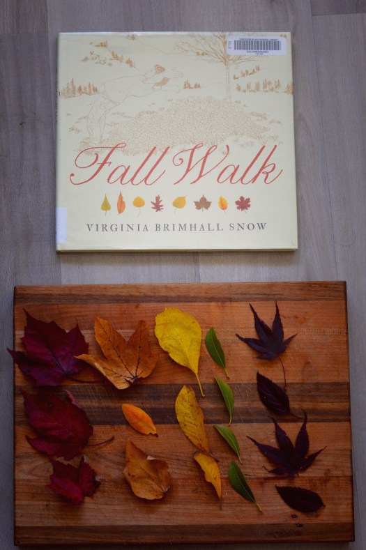An Autumn book and activities for Thanksgiving Monday – Our Montessori Life