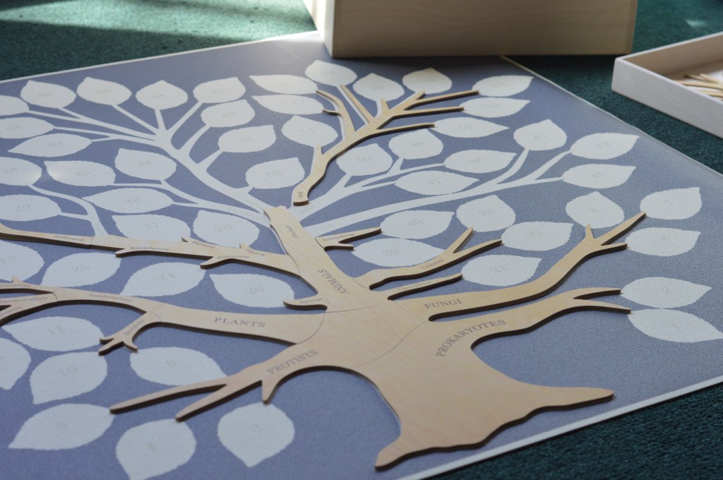 Montessori Culture Materials: The Tree of Life – Our Montessori Life