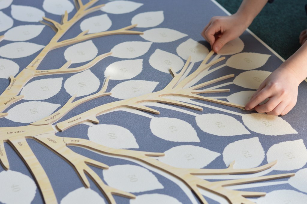 Montessori Culture Materials: The Tree of Life – Our Montessori Life