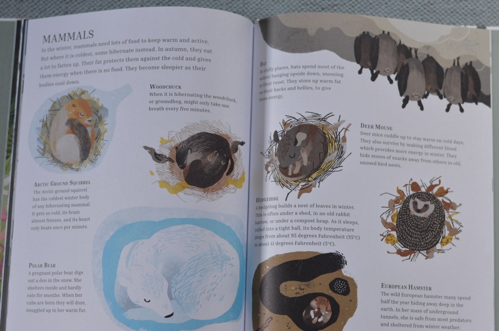 Montessori Book Club: Winter Sleep – A hibernation Story – Our ...