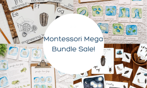 Montessori Nature Study & Outdoor Activities – Our Montessori Life