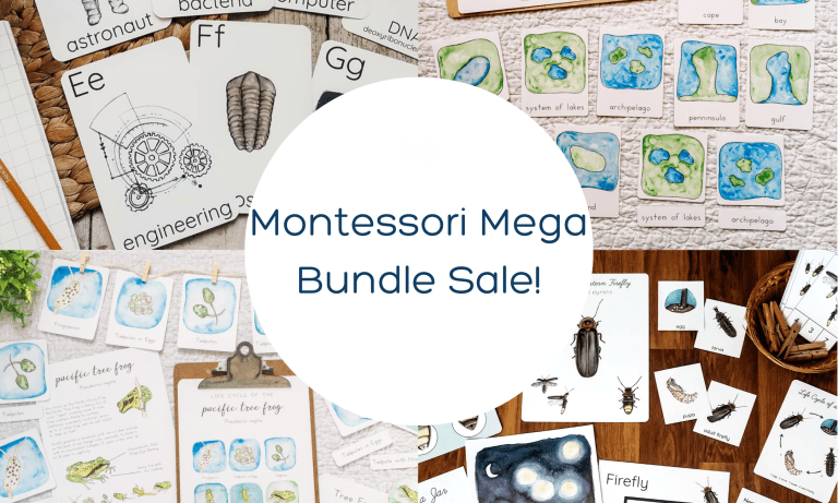 Amazing Videos – Our Montessori Life