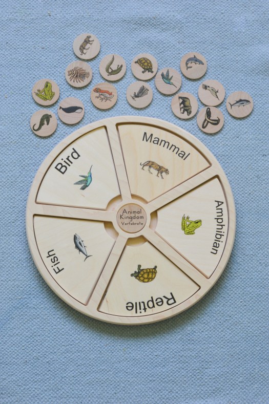 Montessori Nature Study & Outdoor Activities – Our Montessori Life