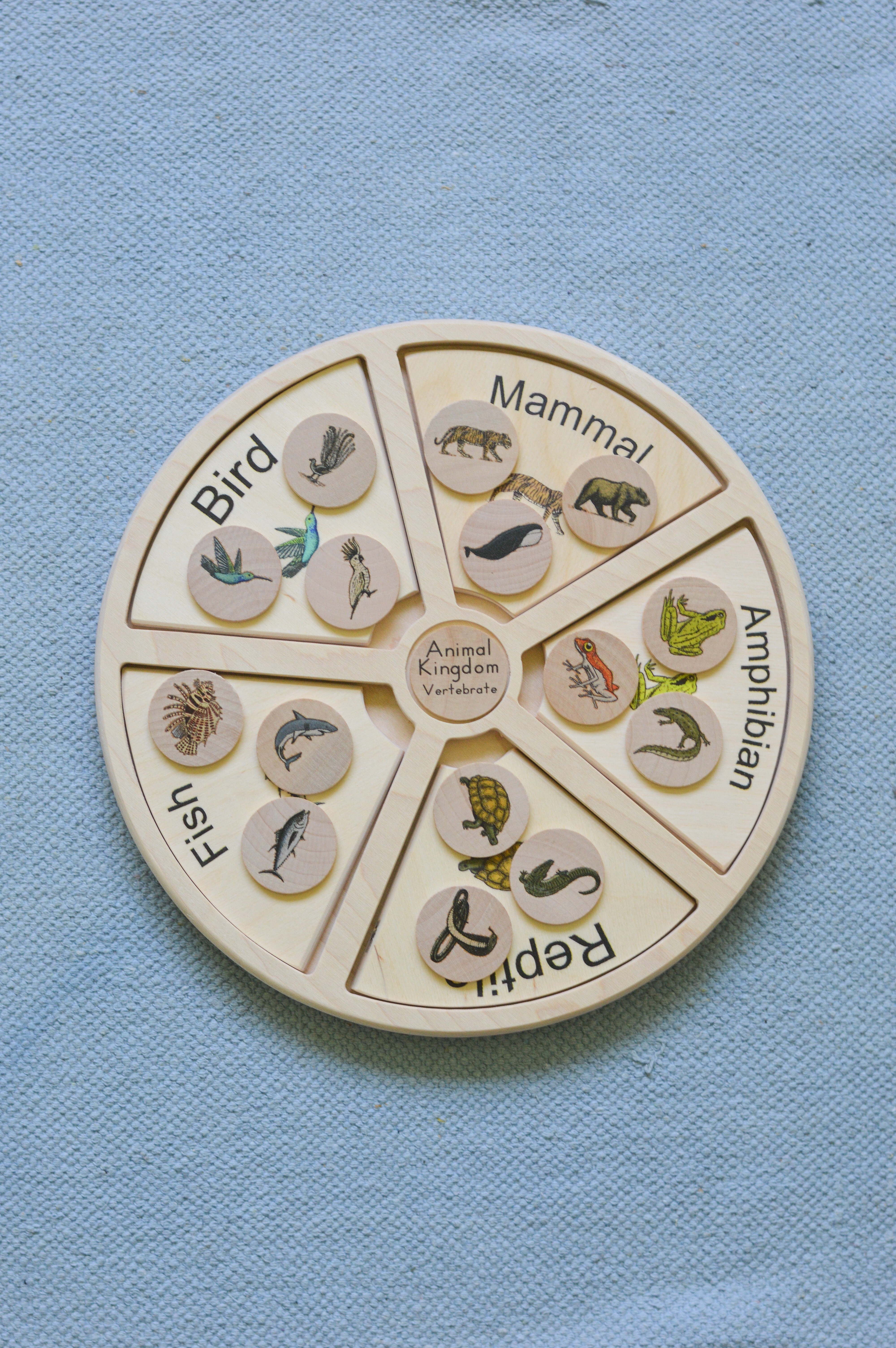 Montessori Nature Study & Outdoor Activities – Our Montessori Life