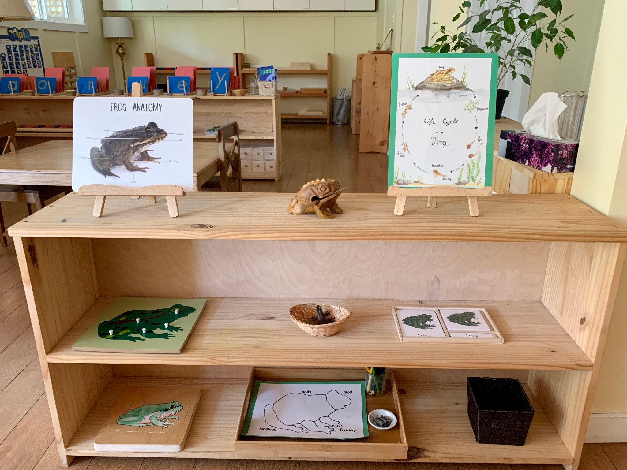 Montessori Nature Study & Outdoor Activities – Our Montessori Life